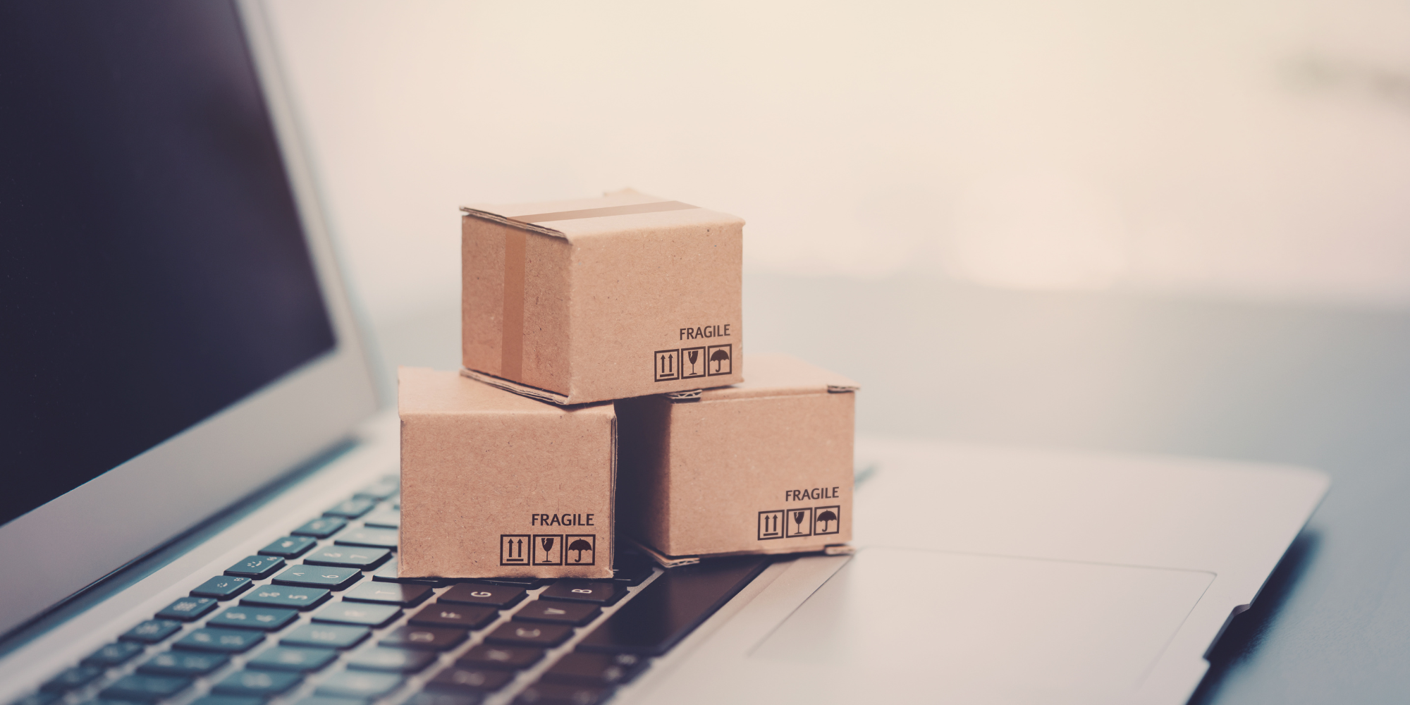 Addressing logistics challenges for ecommerce